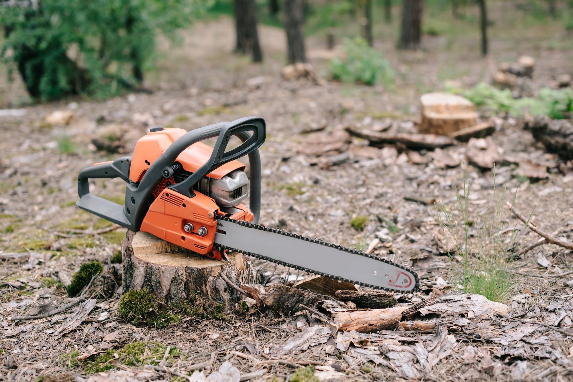 All Services - Stuart, Iowa Lawn | Tree | Snow - Schwinger Outdoor